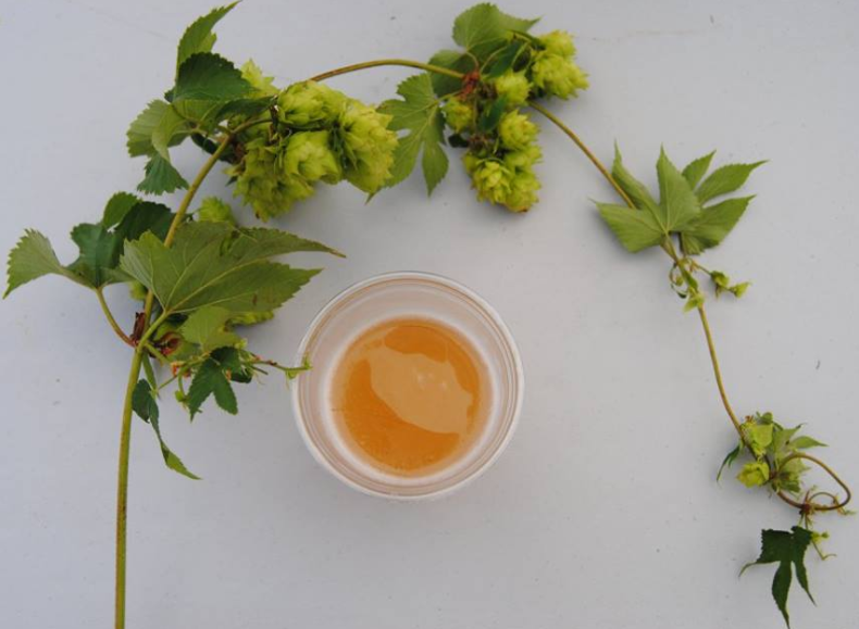 Meander River Farm – near Brooklyn, Hants County - FarmWorks Investment ...