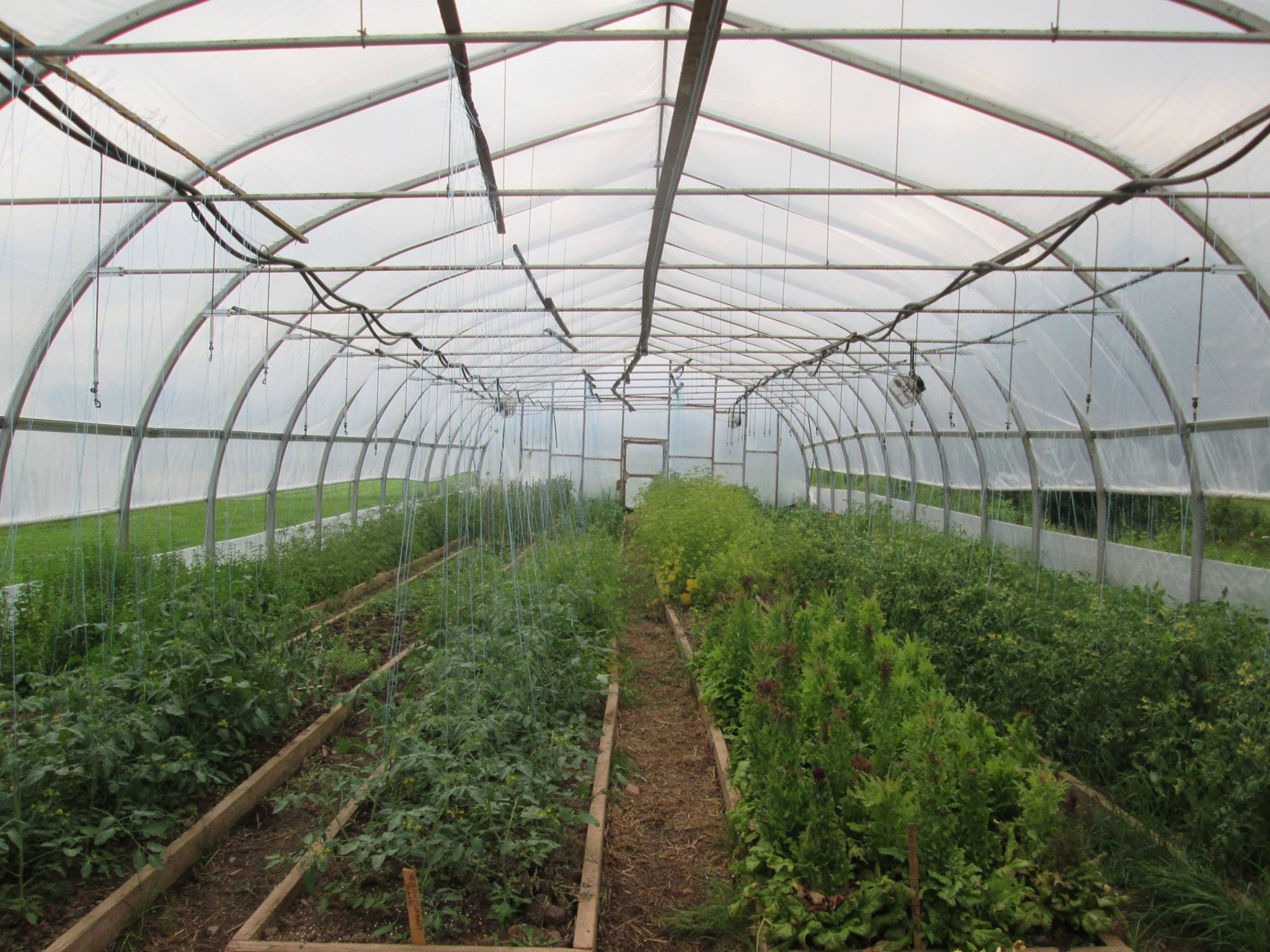 Cochrane Family Farm – Upper Stewiacke - FarmWorks Investment Co-op ...