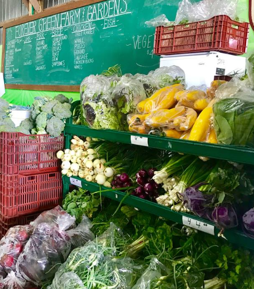 Forever Green Organic Farm & Gardens – Tracadie - FarmWorks Investment ...