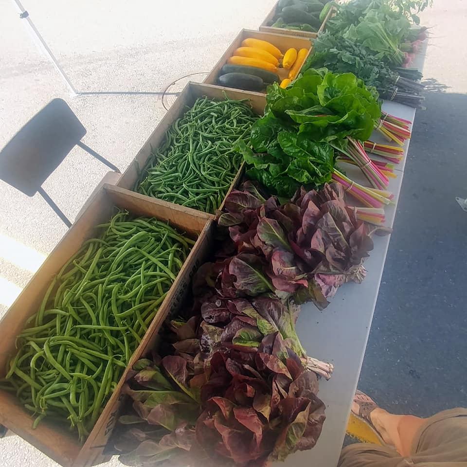 Fruits N Roots Farm - FarmWorks Investment Co-op, Nova Scotia